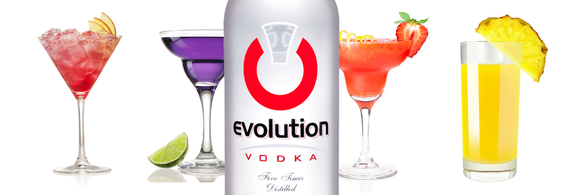 DINSA – Worldwide Distillers